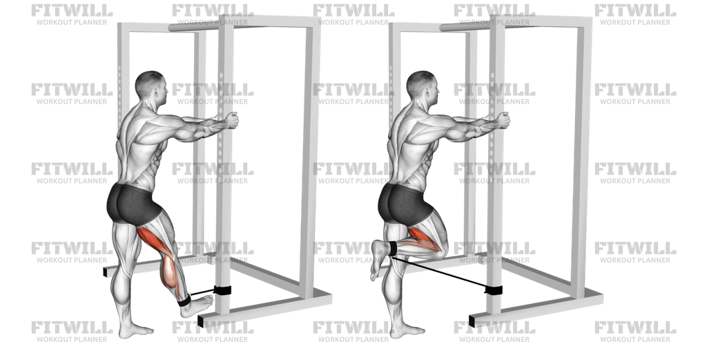 Band Standing Leg Curl: Exercise Guide, Video, Techniques, Benefits ...
