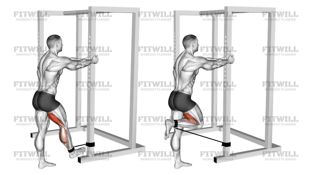 Band Standing Leg Curl: Exercise Guide, Video, Techniques, Benefits ...