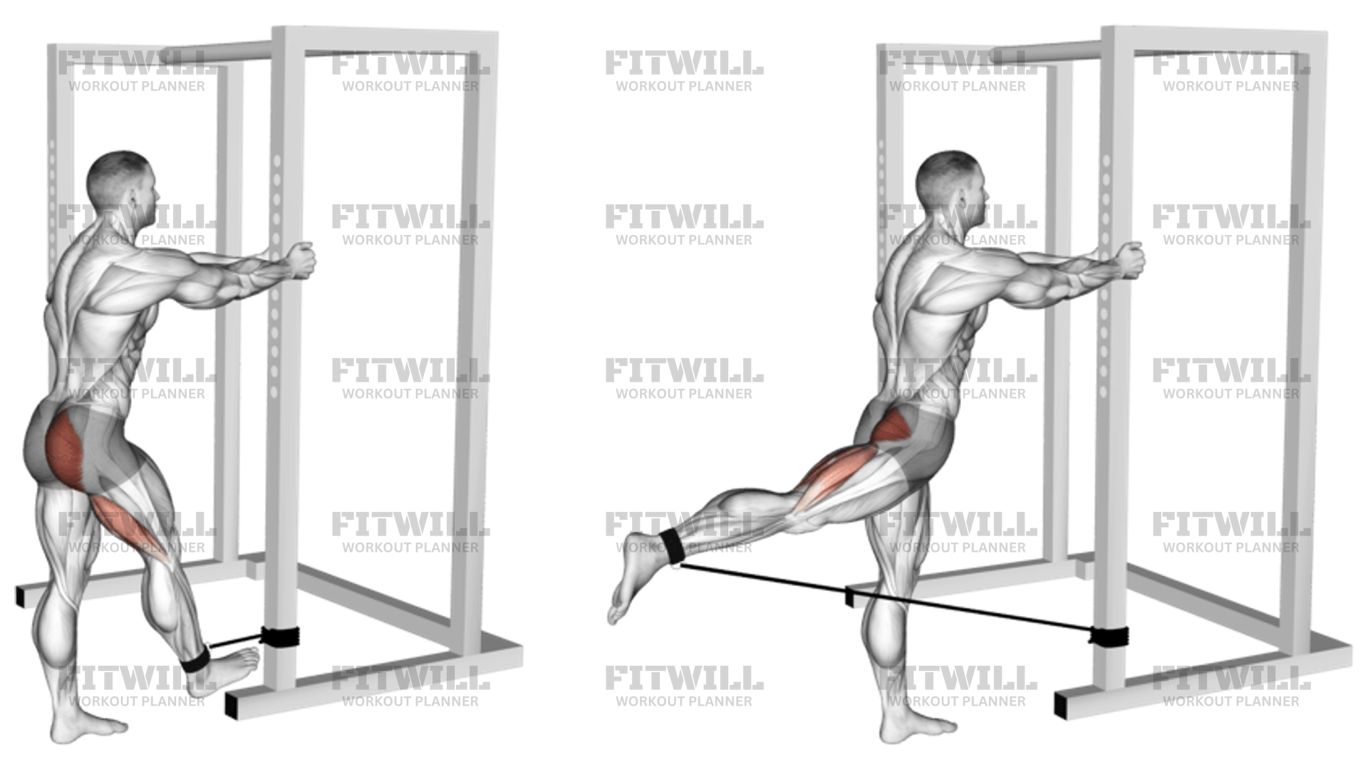 Band Standing Hip Extension: Exercise Guide, Video, Techniques ...
