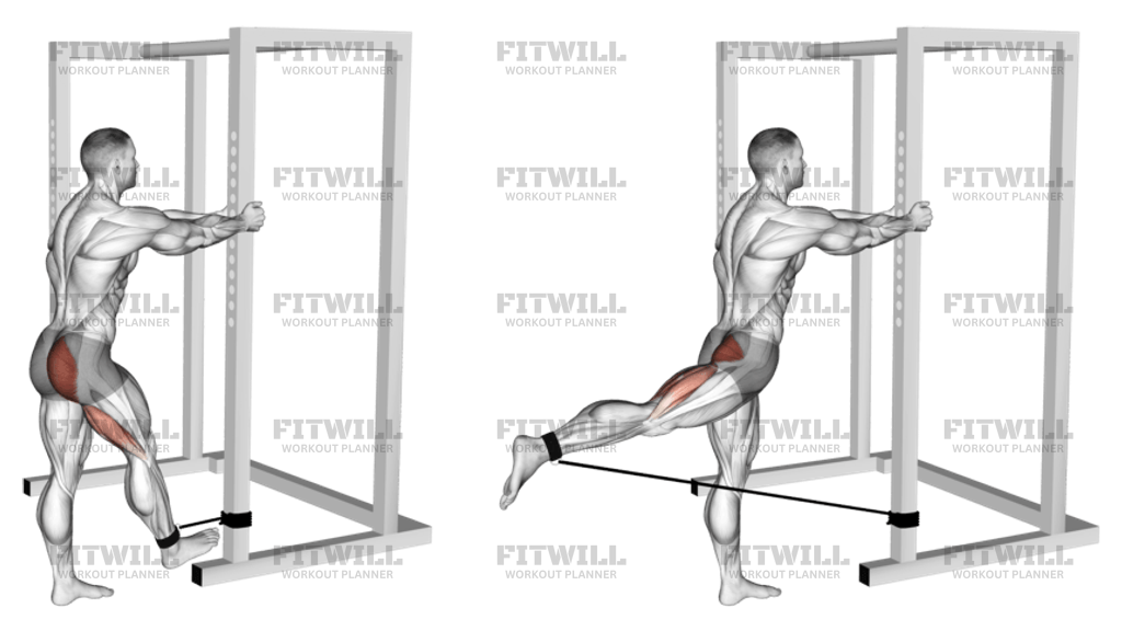 Band Standing Hip Extension: Exercise Guide, Video, Techniques ...