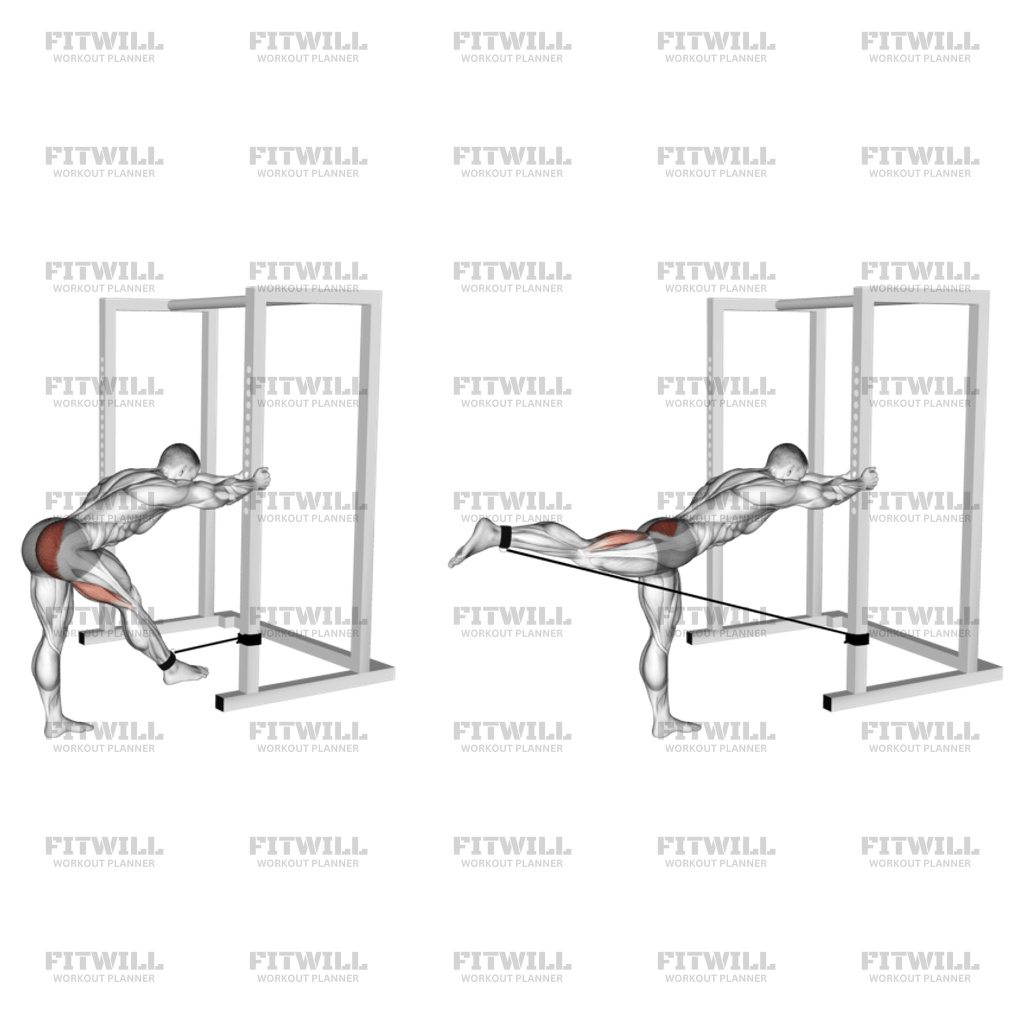 Band Bent-over Hip Extension: Exercise Guide, Video, Techniques ...