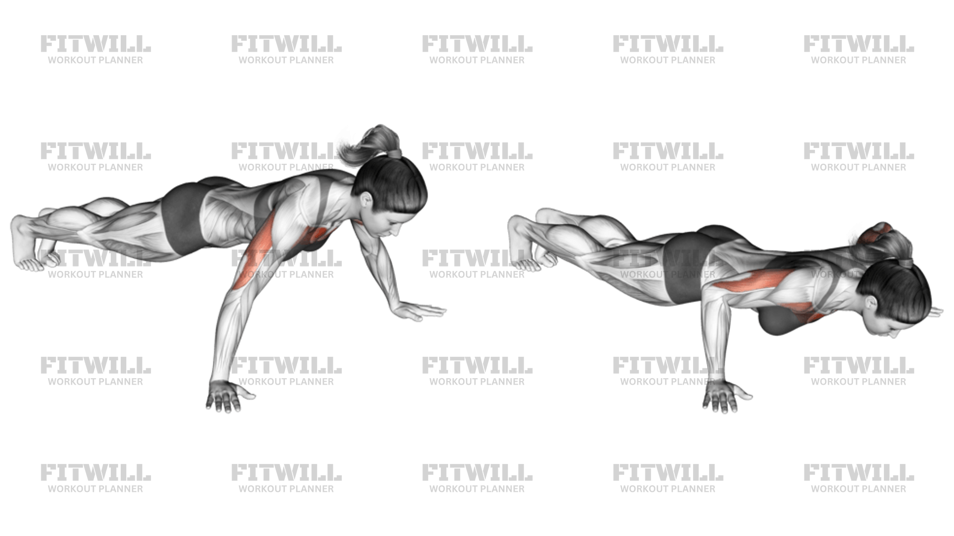 Wide Hand Push-up: Exercise Guide, Video, Techniques, Benefits, How to ...