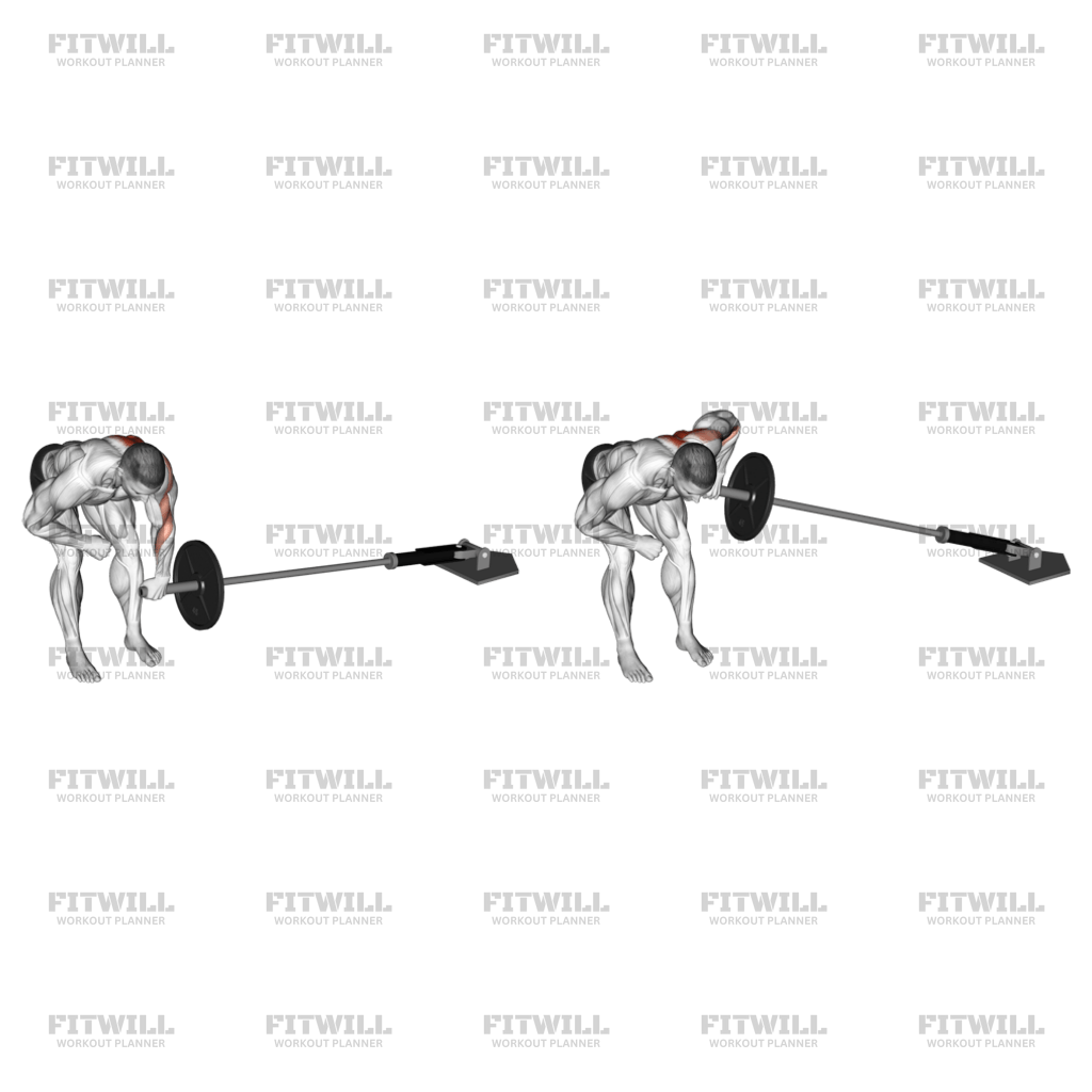 Landmine One Arm Bent-Over Row: Exercise Guide, Video, Techniques ...