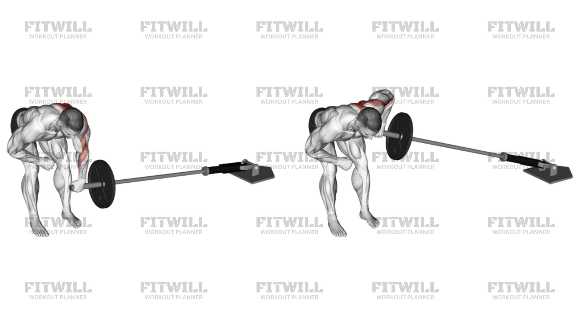 Landmine One Arm Bent-Over Row: Exercise Guide, Video, Techniques ...