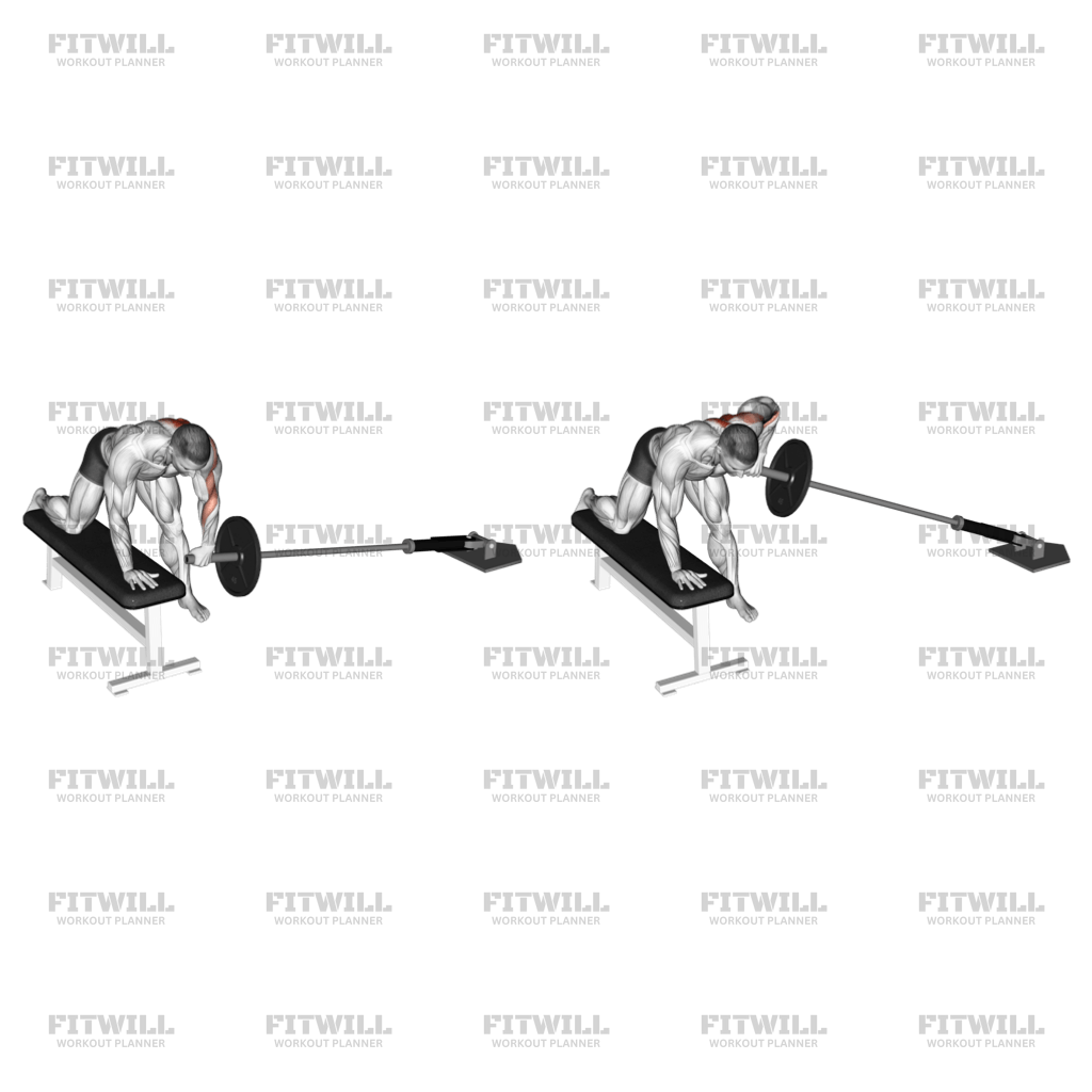 Landmine One Arm Bent-Over Bench Row: Exercise Guide, Techniques ...