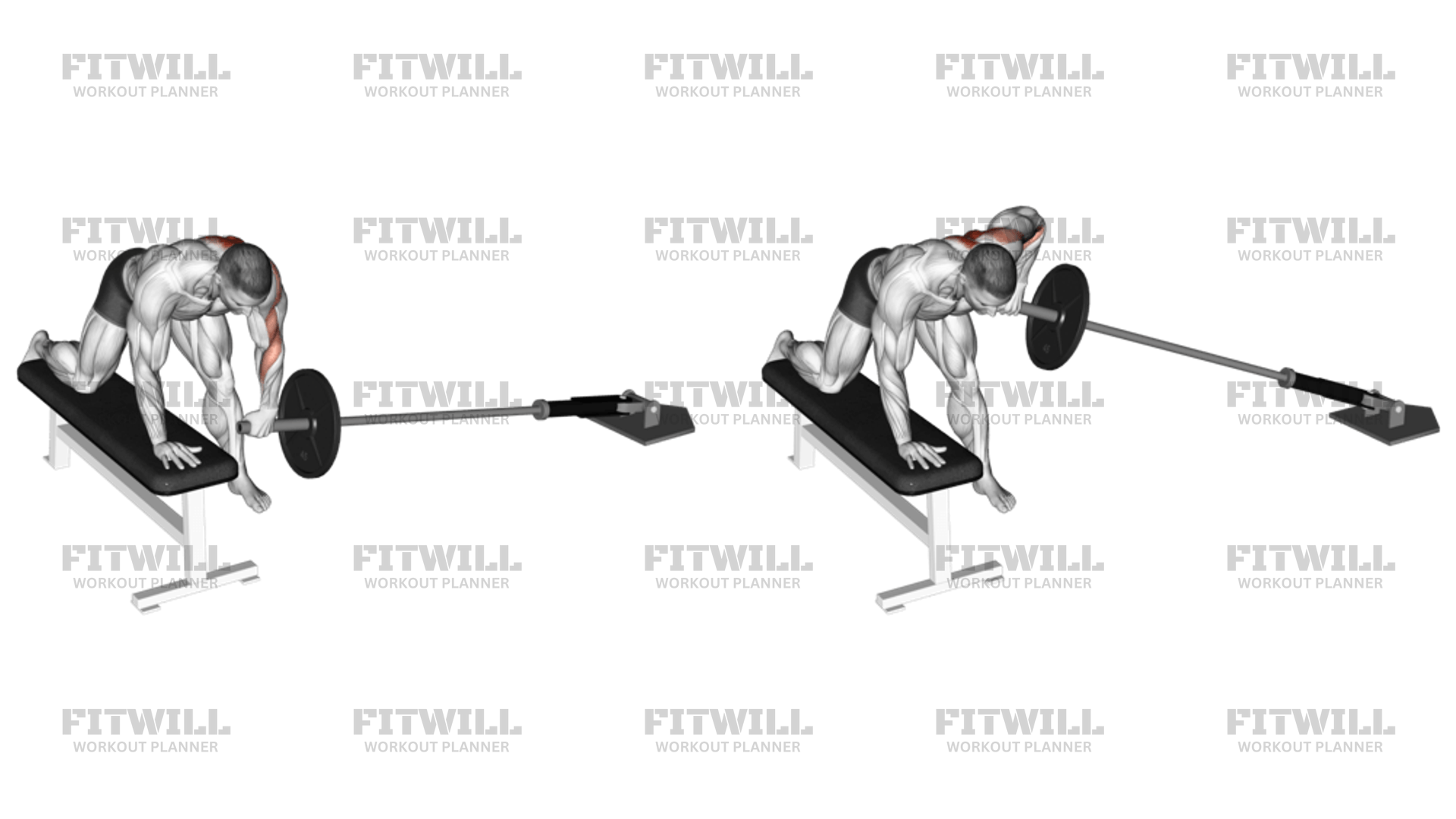 Landmine One Arm Bent-Over Bench Row: Exercise Guide, Techniques ...