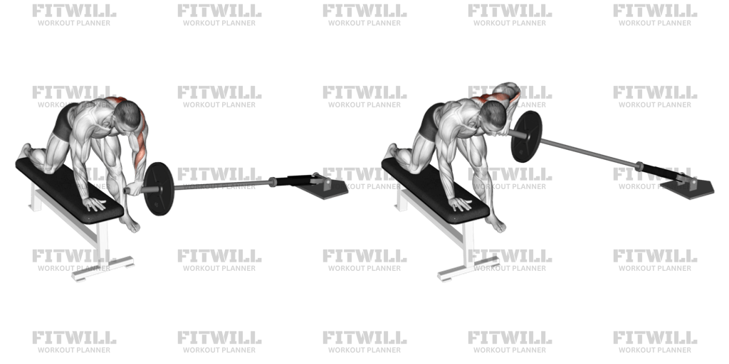 Landmine One Arm Bent-Over Bench Row: Exercise Guide, Techniques ...