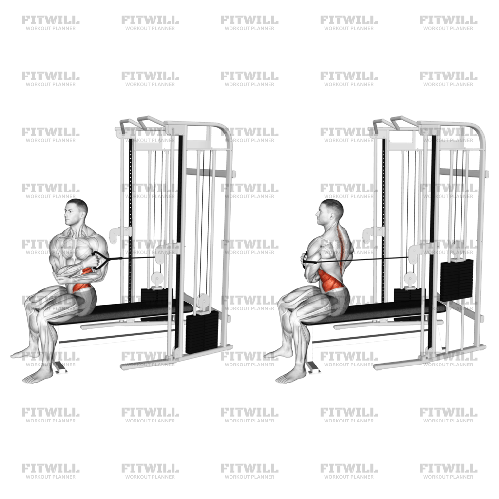 Cable Seated Cross Arm Twist: Exercise Guide, Techniques, Benefits, How ...