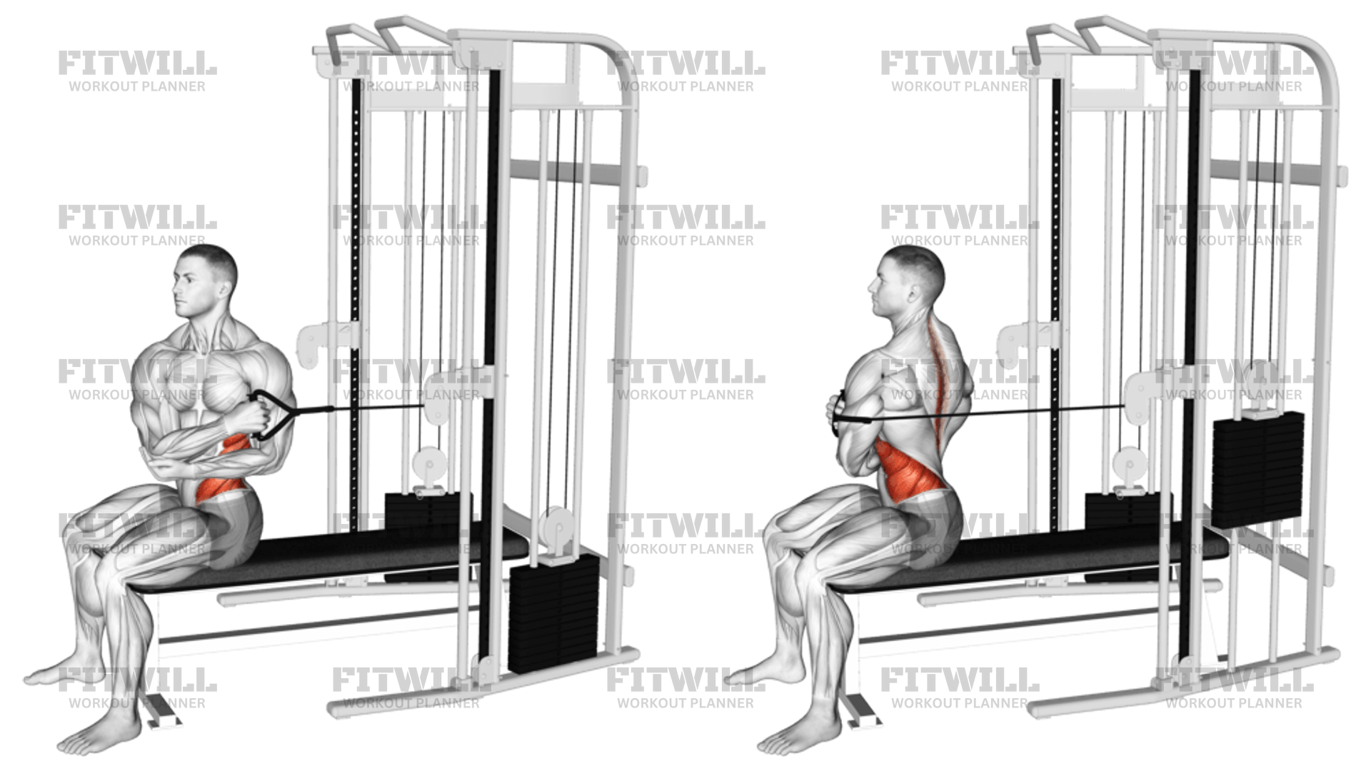 Cable Seated Cross Arm Twist: Exercise Guide, Techniques, Benefits, How ...