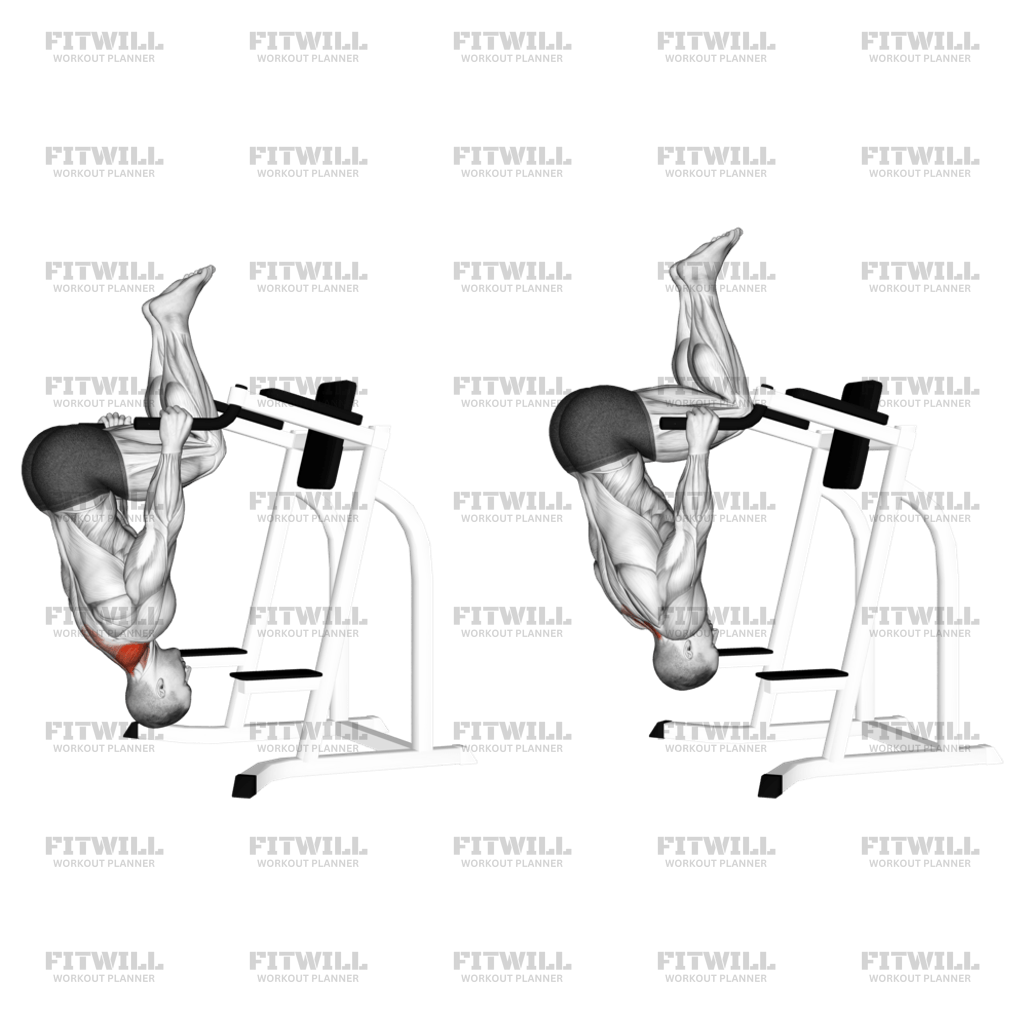 Inverted Shrug On Parallel Bars: Exercise Guide, Techniques, Benefits ...