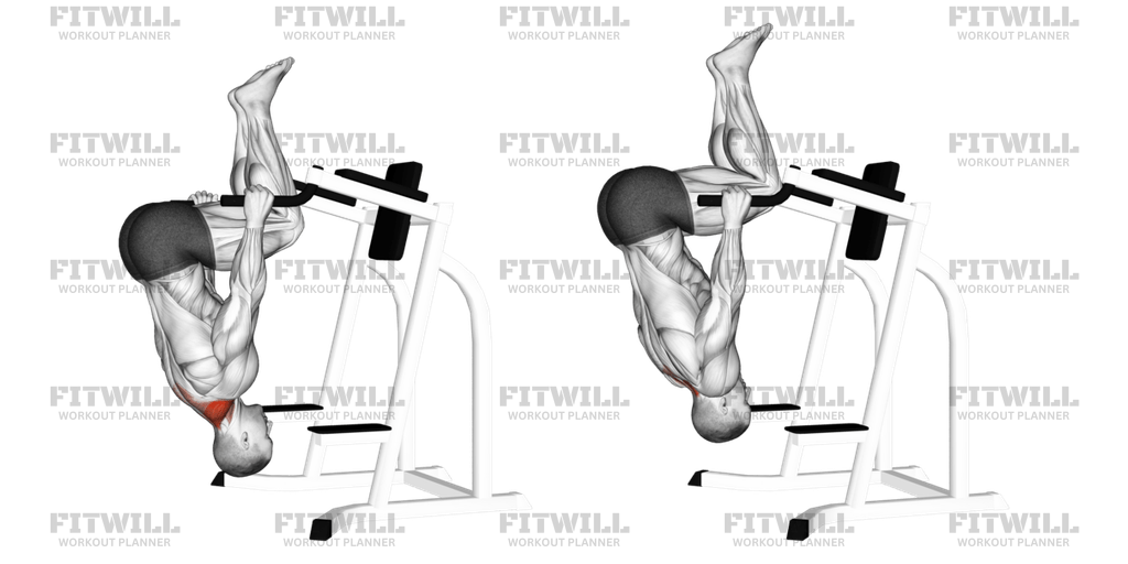 Inverted Shrug On Parallel Bars: Exercise Guide, Techniques, Benefits ...