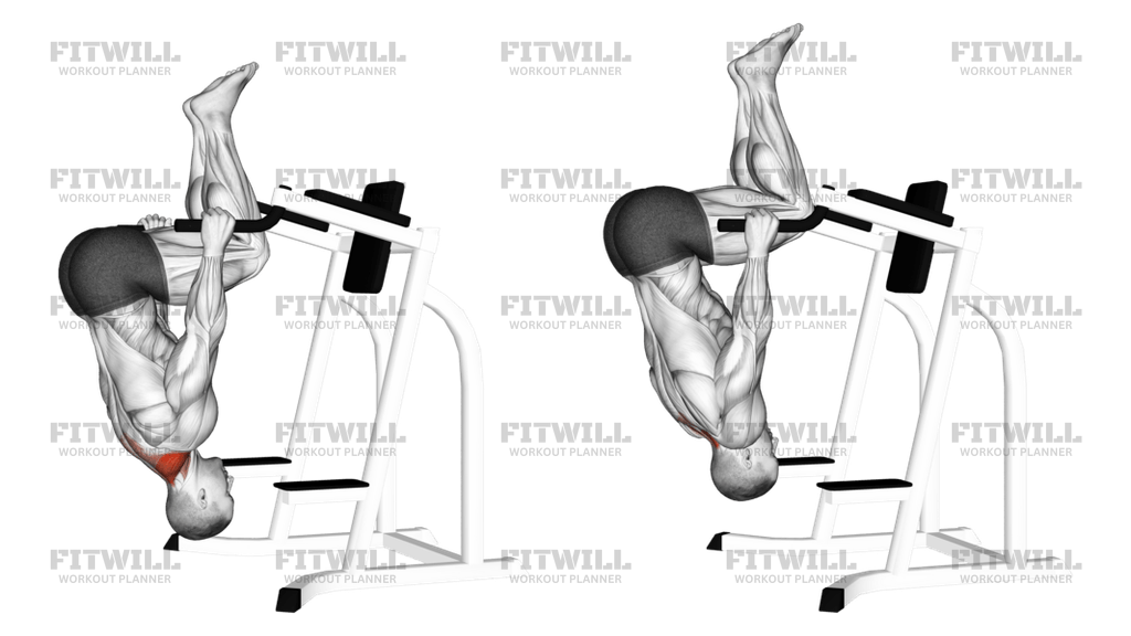 Inverted Shrug (on Parallel Bars): Exercise Guide, Techniques, Benefits ...