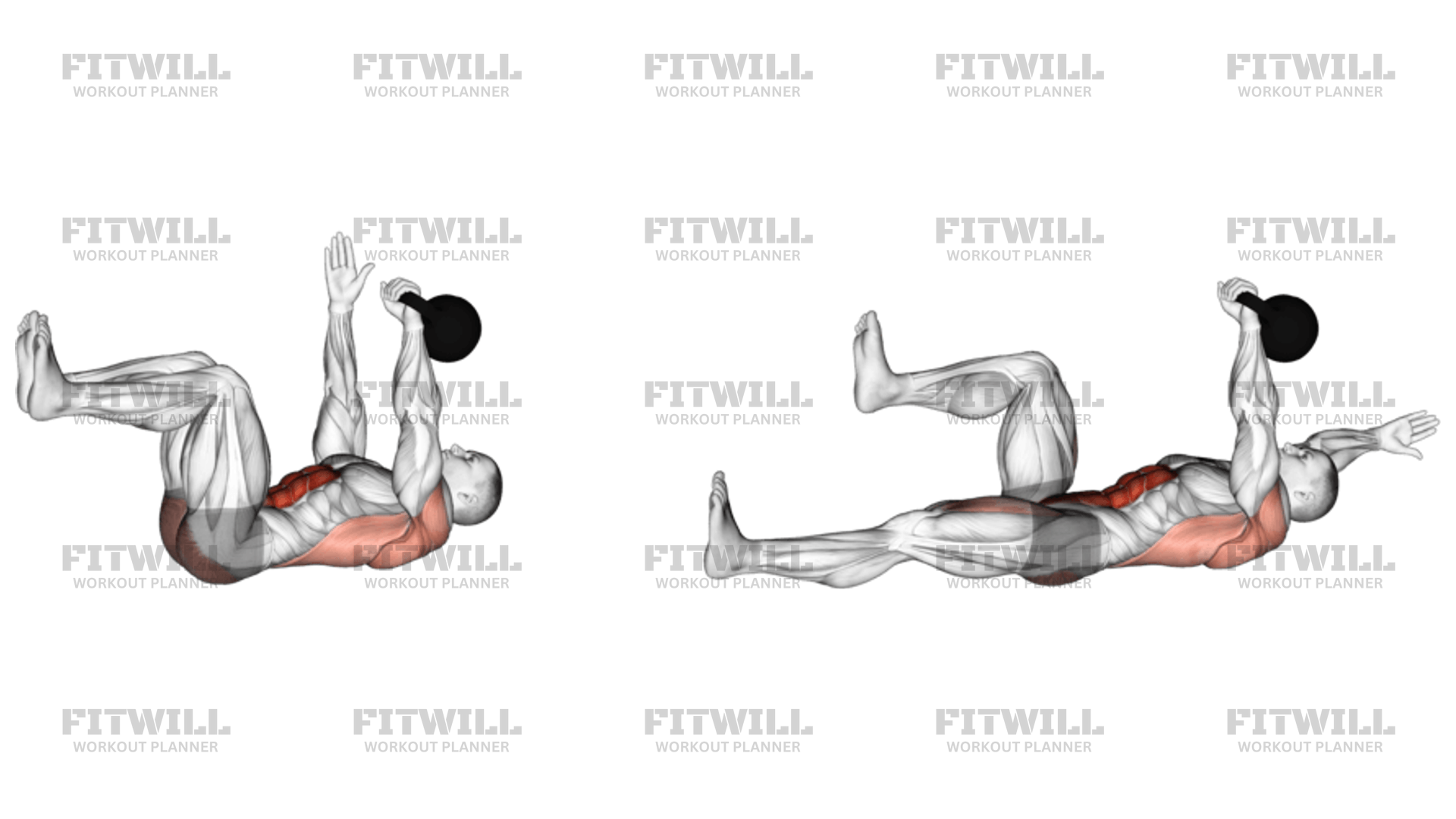 Kettlebell Dead Bug: Guía de Ejercicios, Técnicas, Beneficios, Cómo ...