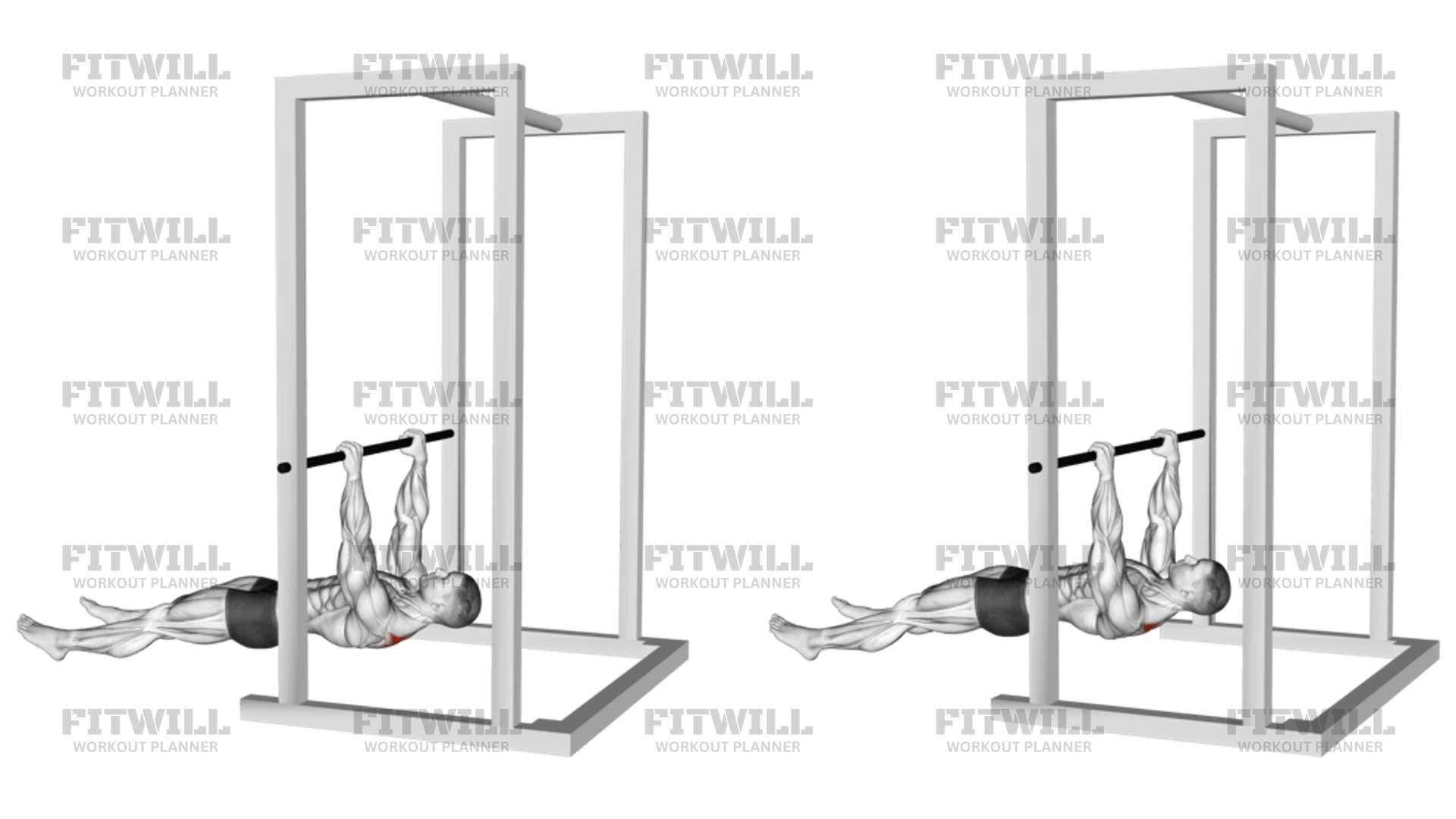 Inverted Shrug: Exercise Guide, Techniques, Benefits, How to, Muscles ...