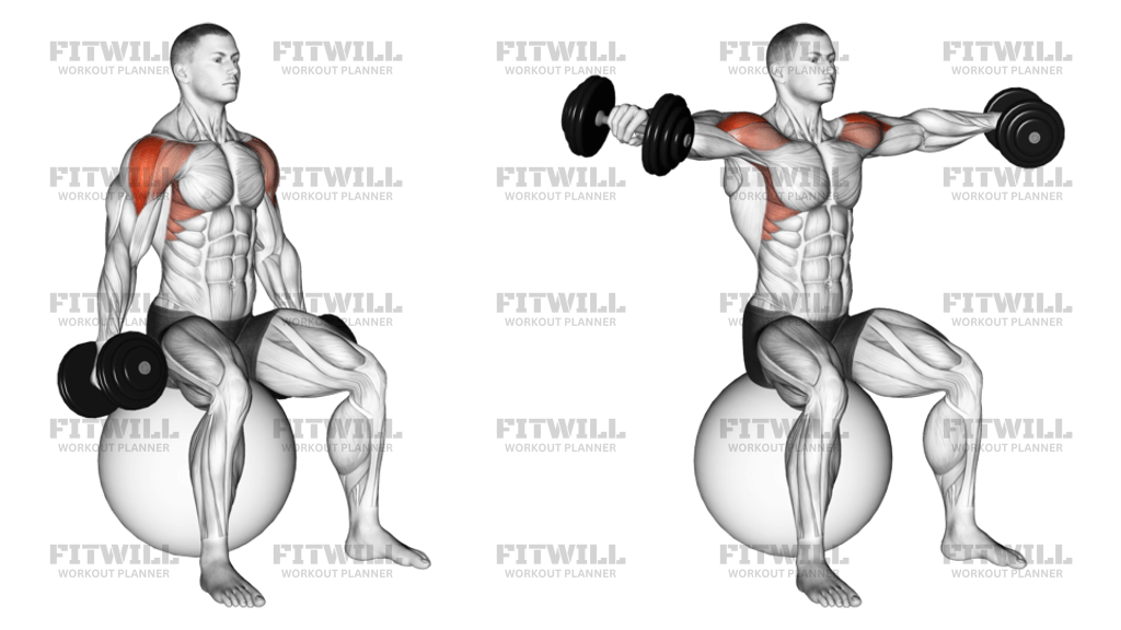 Elevação Lateral Sentado Com Halteres Na Bola De Estabilidade: Guia de ...