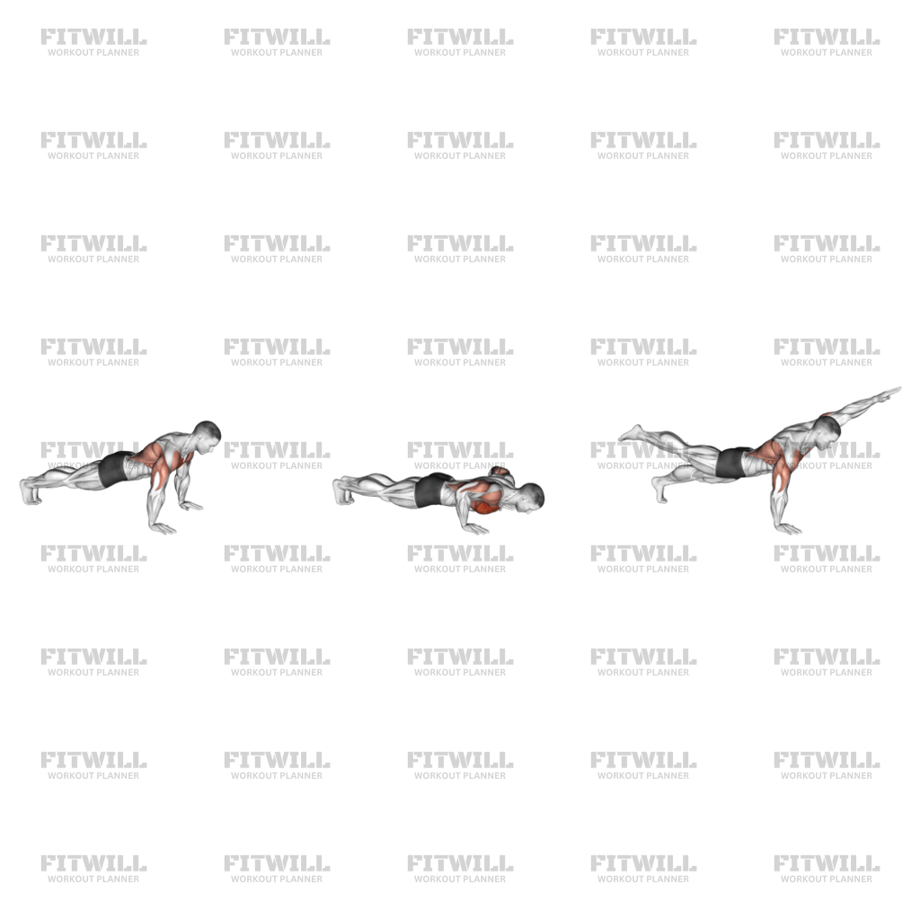 Bird Dog Push-Up: Exercise Guide, Techniques, Benefits, How to, Muscles ...
