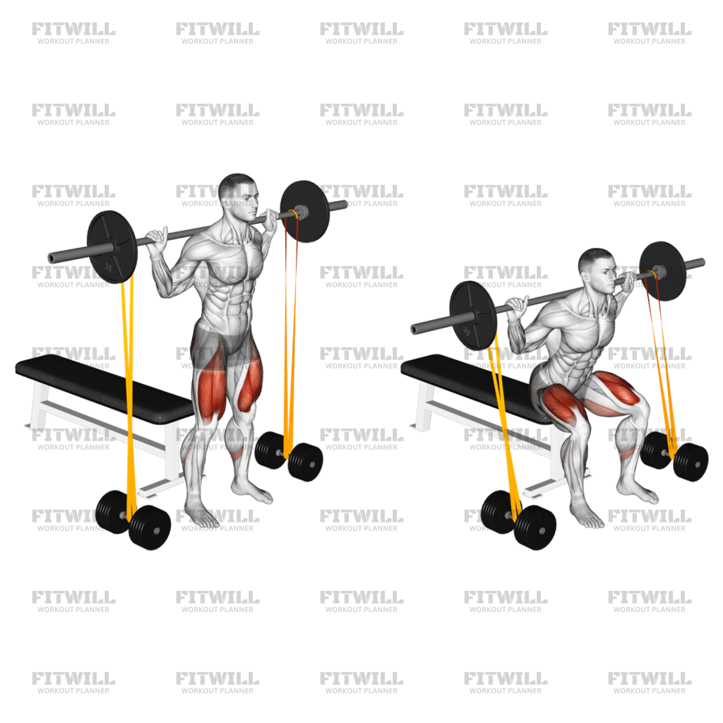 Sentadilla Con Barra Y Banda Elástica Sobre Banco: Guía de Ejercicios ...