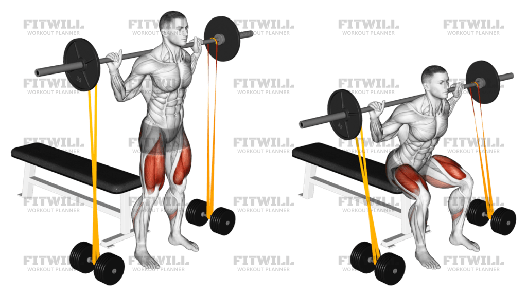 Barbell Banded Bench Squat: Exercise Guide, Techniques, Benefits, How ...