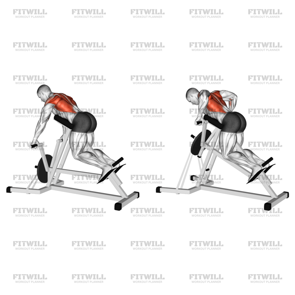 Lever Lying Banded T-bar Row: Guide, Techniques, Benefits, How to ...