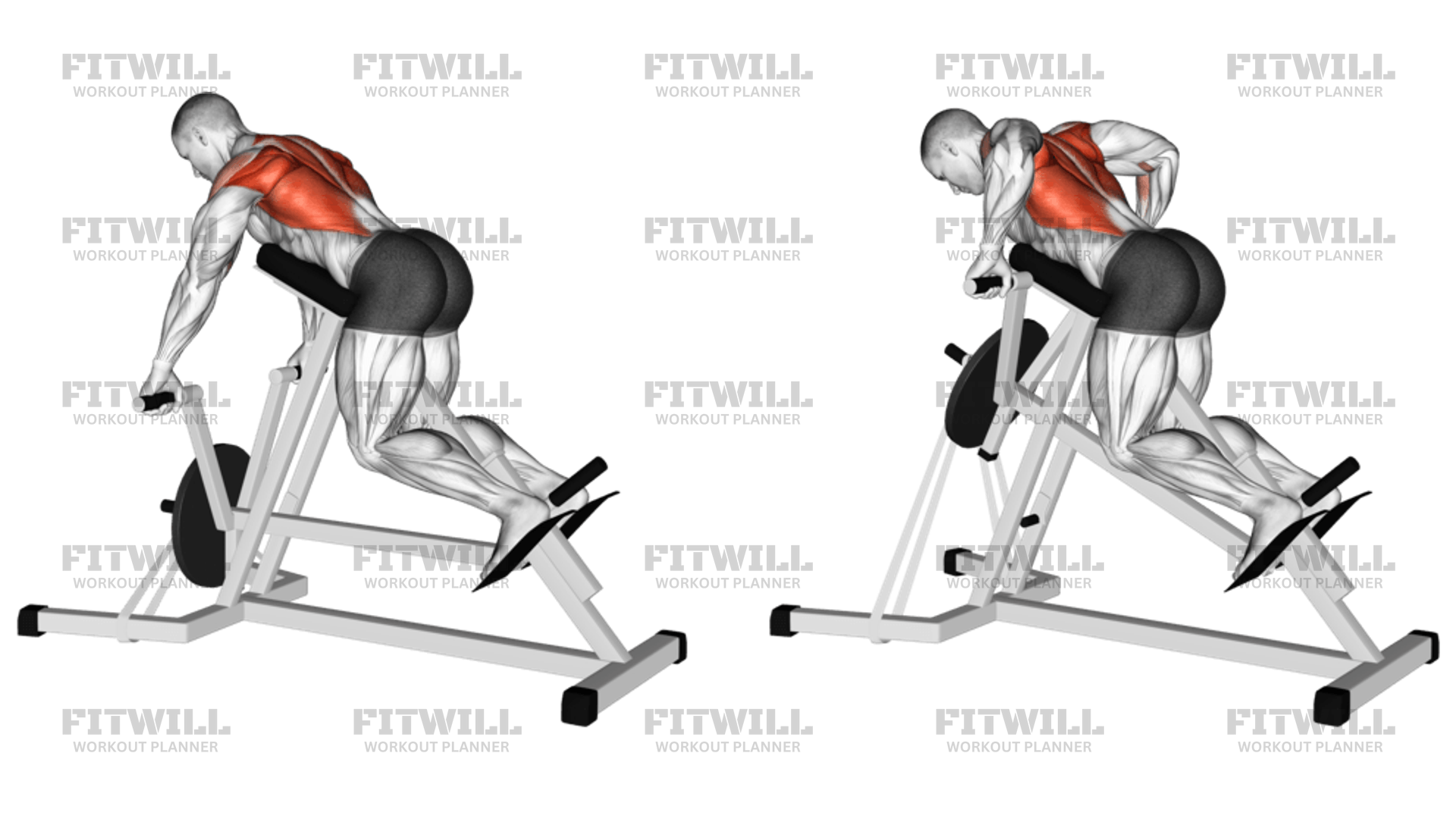 Lever Lying Banded T-bar Row: Exercise Guide, Techniques, Benefits, How ...