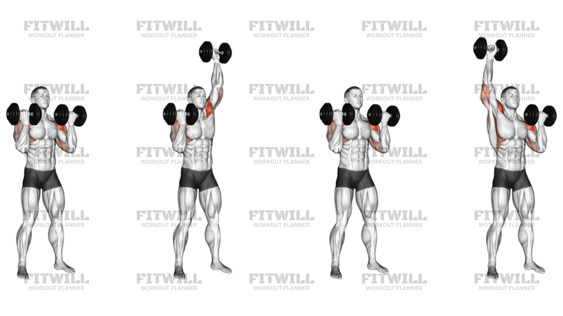 Dumbbell Standing Alternate Arnold Press: Exercise Guide, Techniques ...