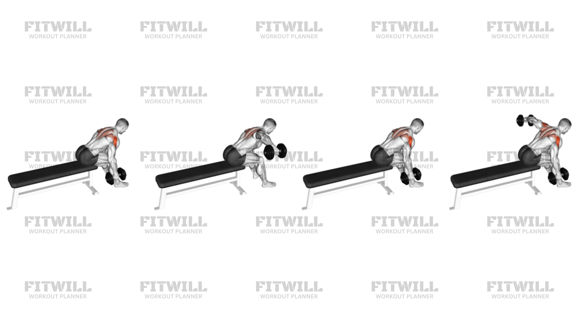 How to do Dumbbell Seated Bent Over Alternate Rear Delt Fly: Techniques ... How to do Dumbbell Seated Bent Over Alternate Rear Delt Fly: Techniques ...