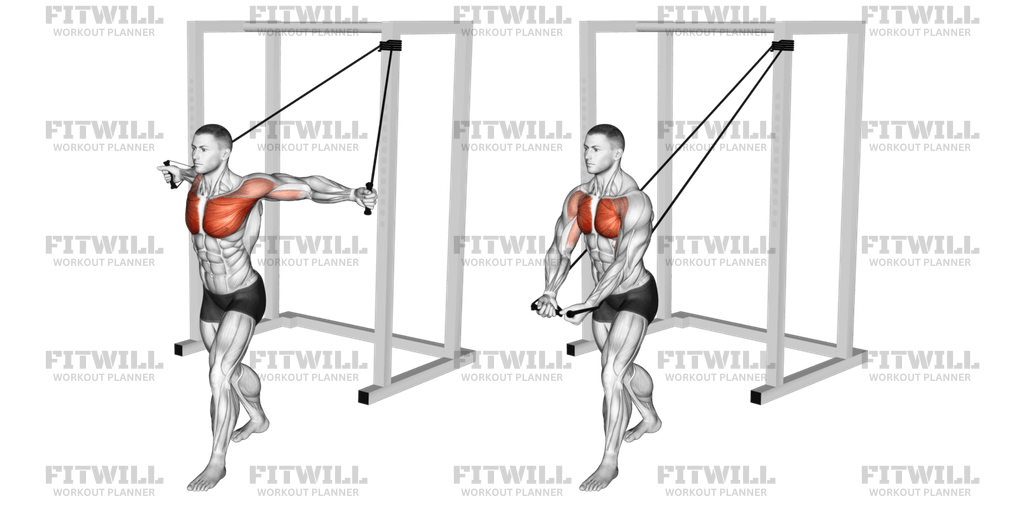 Band Low Chest Fly: Exercise Guide, Video, Techniques, Benefits, How to ...