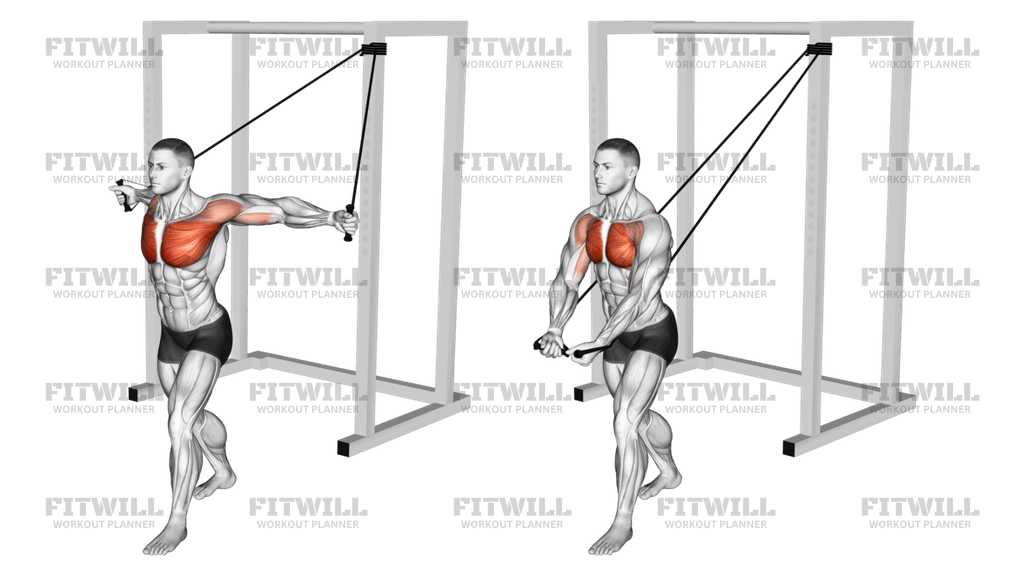 Band Low Chest Fly: Exercise Guide, Video, Techniques, Benefits, How to ...