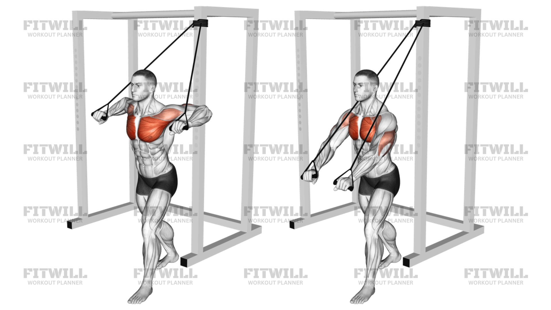 Band Low Chest Press: Exercise Guide, Video, Techniques, Benefits, How ...