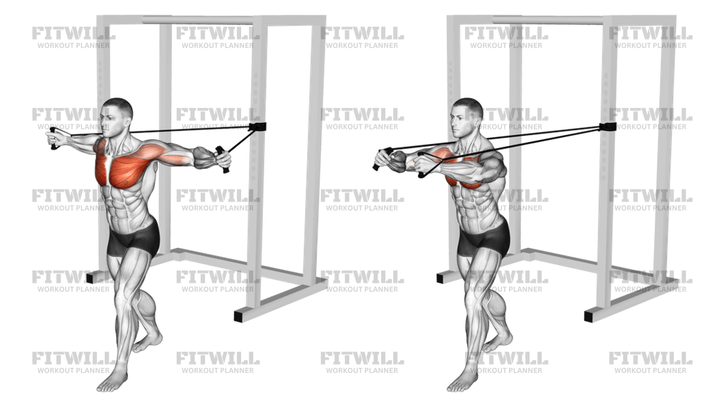 Band Chest Fly: Exercise Guide, Video, Techniques, Benefits, How to ...