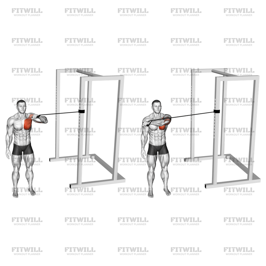 Band Cross Body One Arm Chest Press: Exercise Guide, Video, Techniques ...