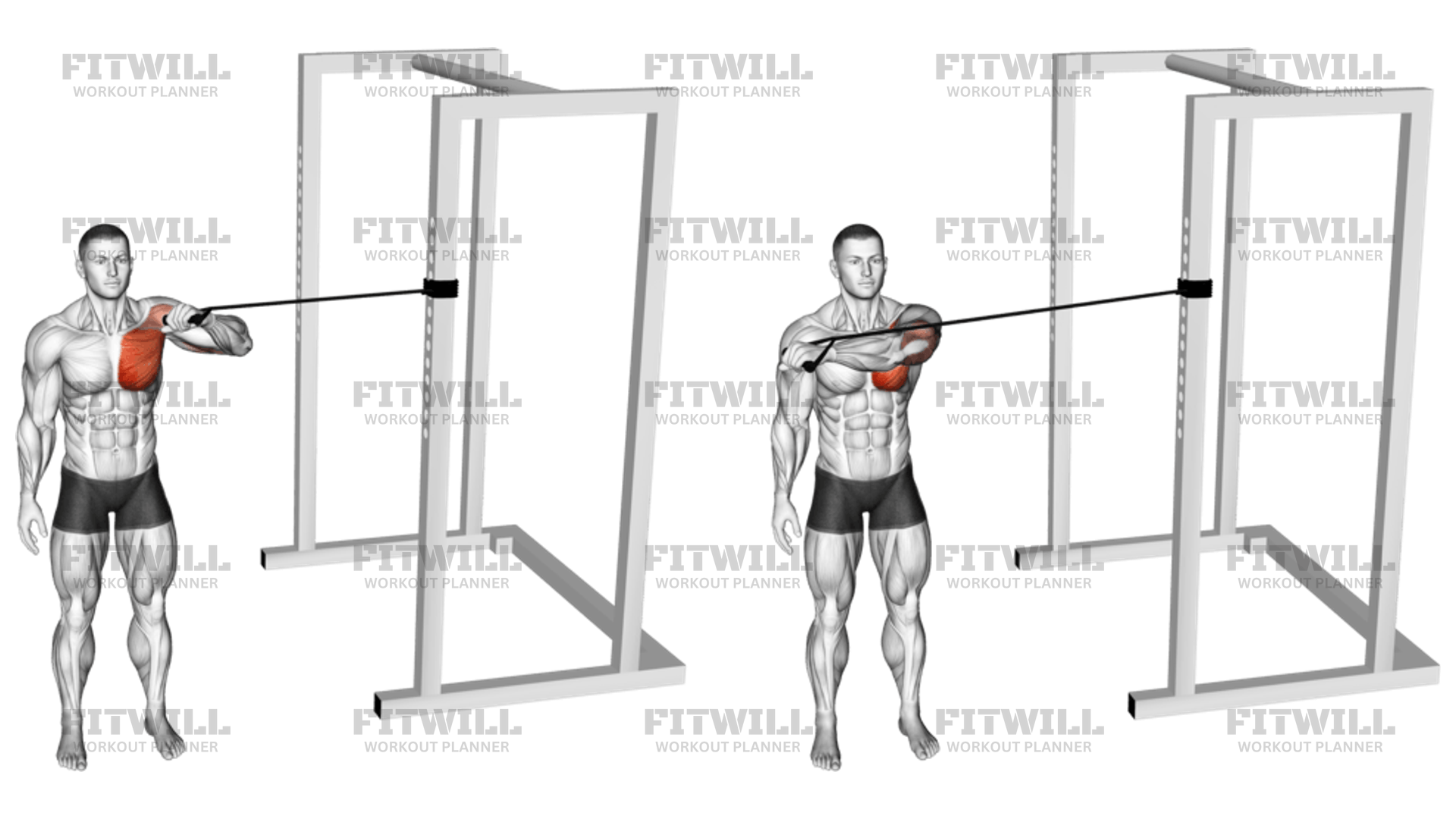 Band Cross Body One Arm Chest Press: Exercise Guide, Video, Techniques ...