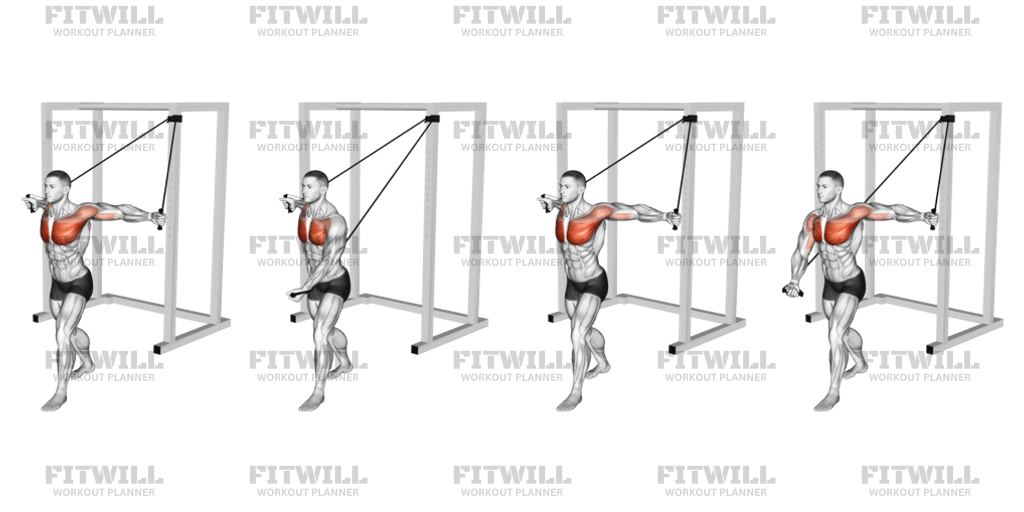 Band Alternate Low Chest Fly: Exercise Guide, Video, Techniques ...
