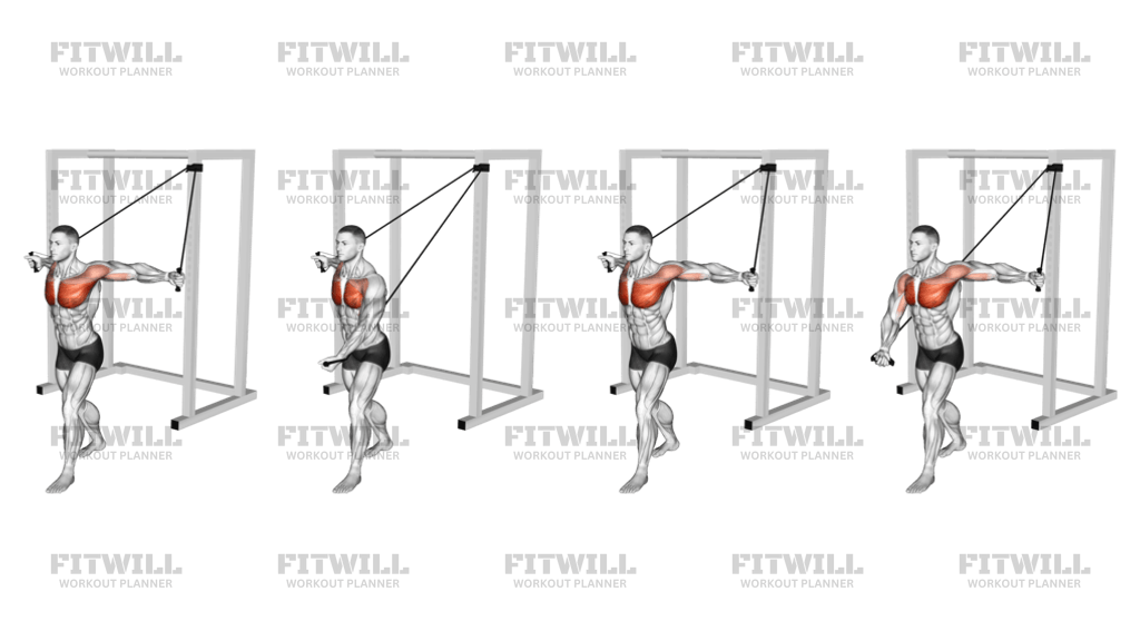 Band Alternate Low Chest Fly: Exercise Guide, Video, Techniques ...