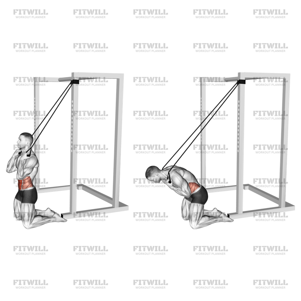 Band Kneeling Crunch: Exercise Guide, Video, Techniques, Benefits, How ...