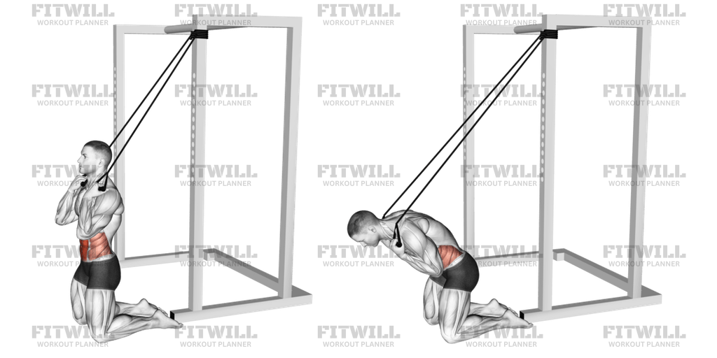 Band Kneeling Crunch: Exercise Guide, Video, Techniques, Benefits, How ...