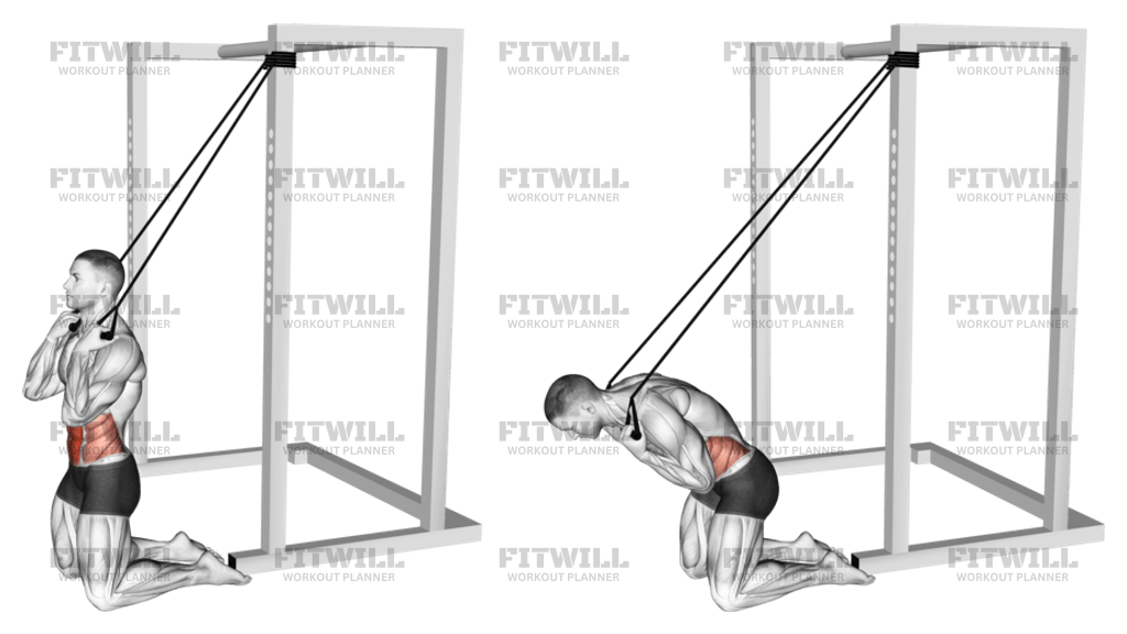 Band Kneeling Crunch: Exercise Guide, Video, Techniques, Benefits, How ...