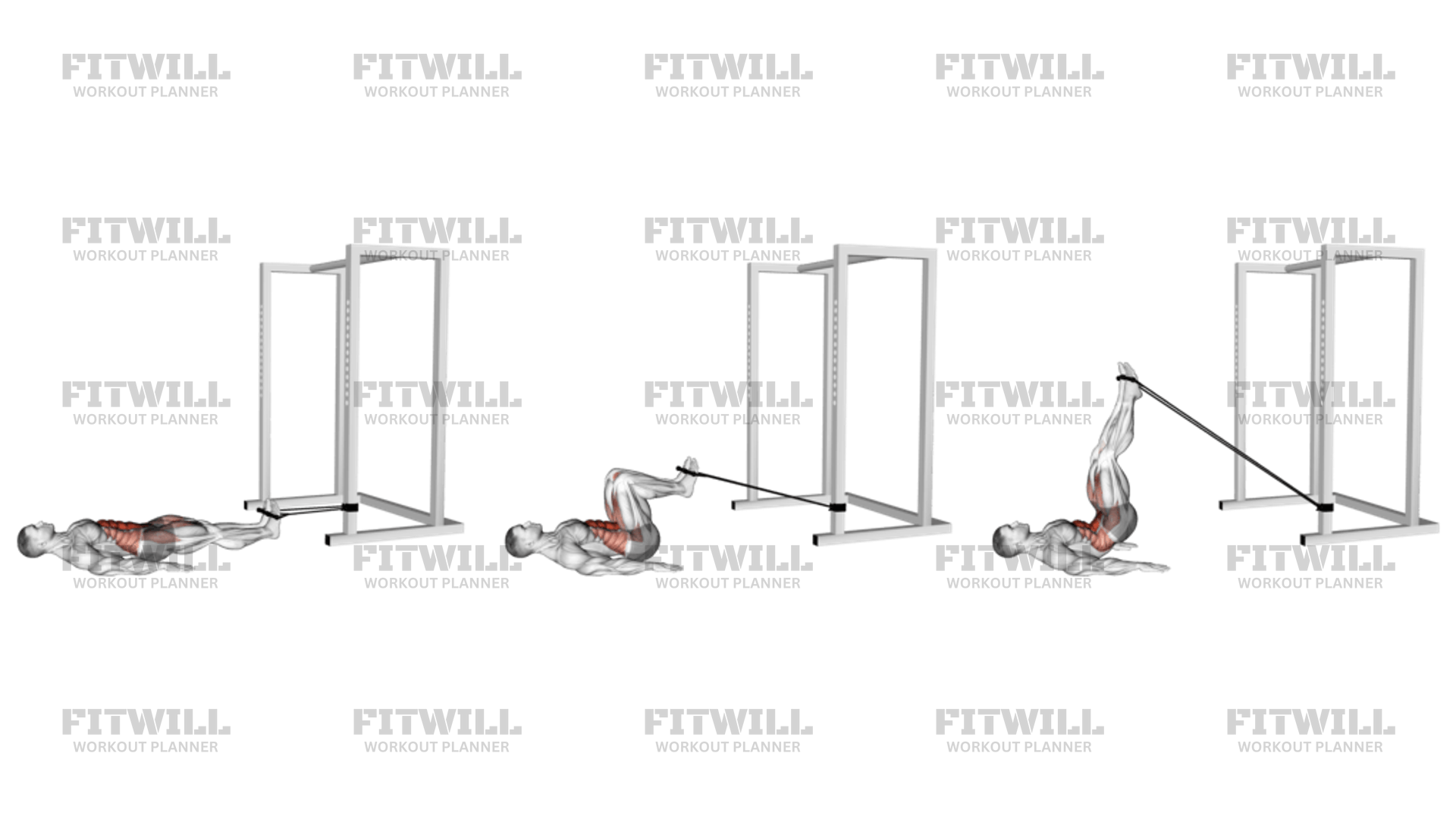 Band Reverse Crunch: Exercise Guide, Video, Techniques, Benefits, How ...