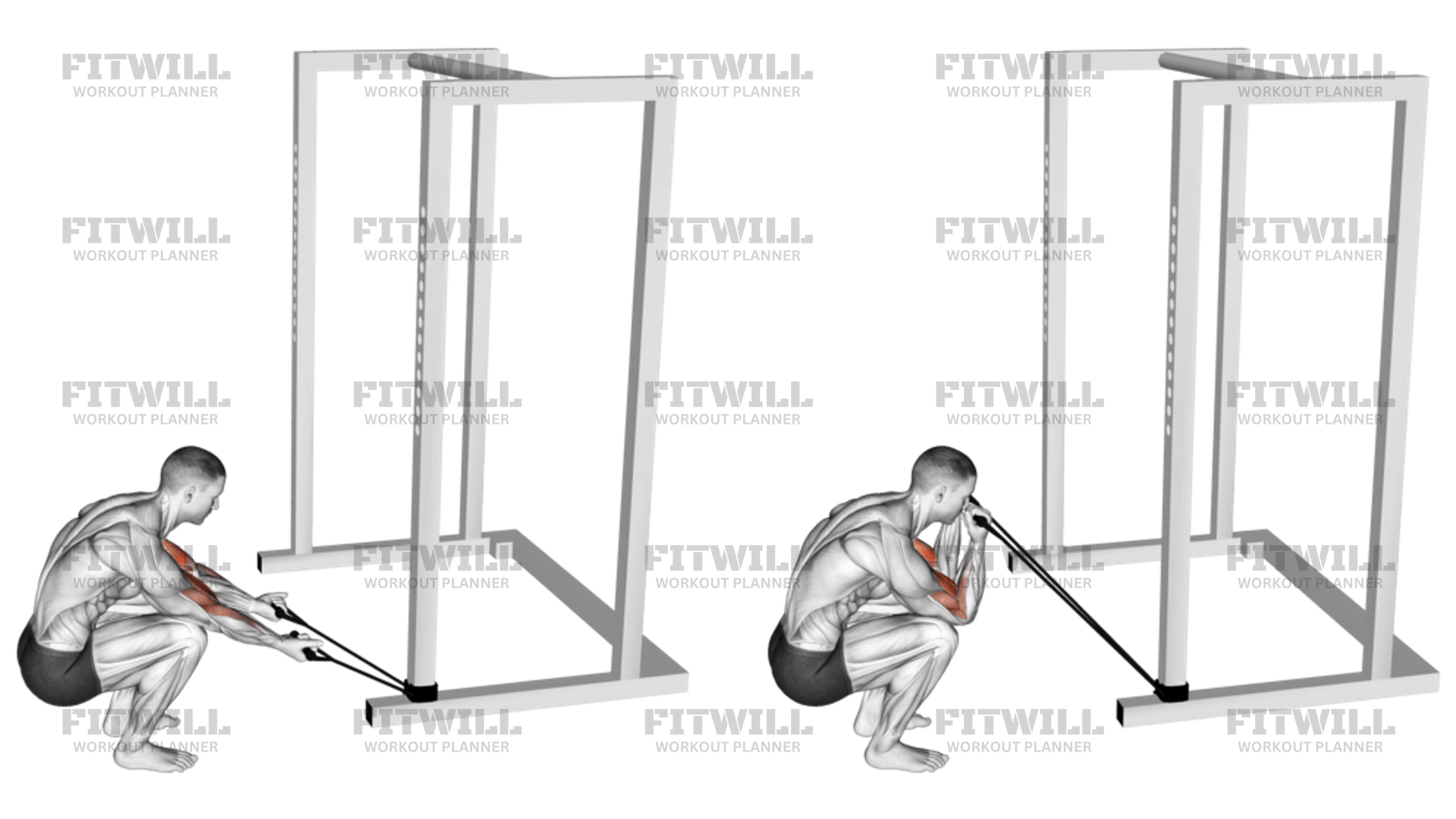 Band Kneeling Preacher Curl: Exercise Guide, Video, Techniques ...