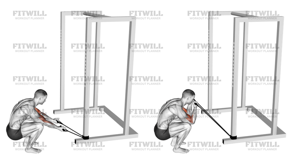 Rosca Scott Ajoelhado Com Faixa: Guia de Exercícios, Vídeo, Técnicas ...