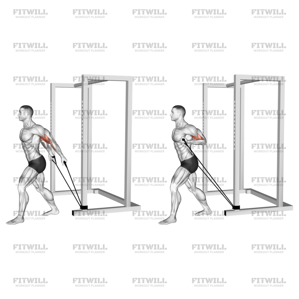 Band 45 Degrees Biceps Curl: Exercise Guide, Video, Techniques ...