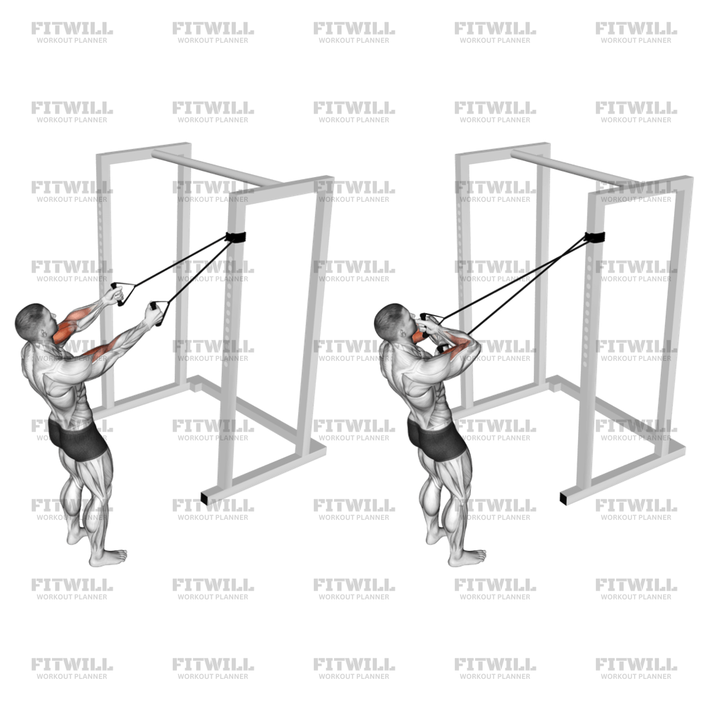 Band Cross Chest Biceps Curl: Exercise Guide, Video, Techniques ...