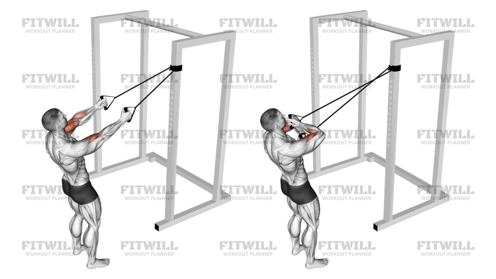 Band Cross Chest Biceps Curl: Exercise Guide, Video, Techniques ...