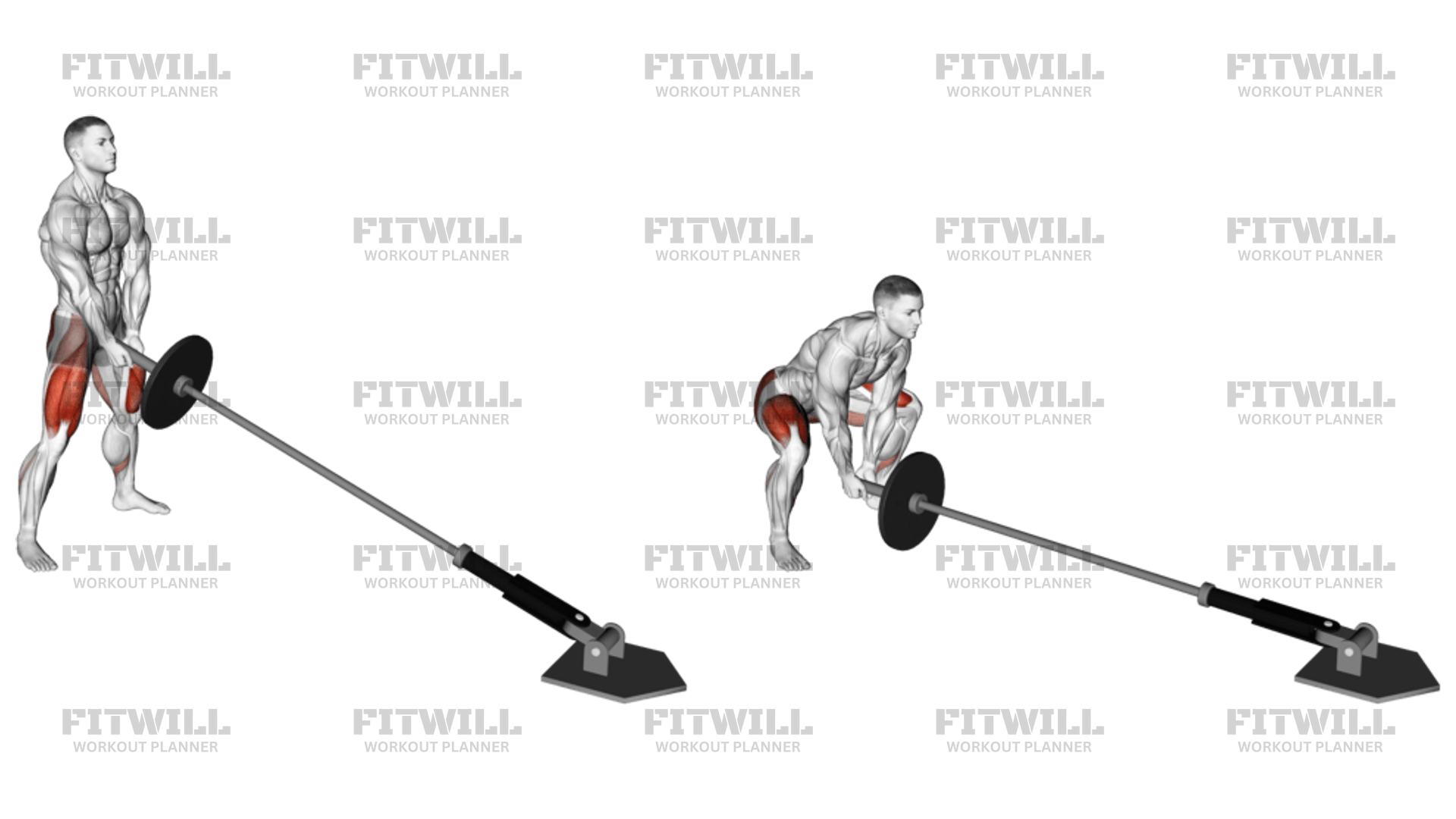 Landmine Sumo Squat: Exercise Guide, Video, Techniques, Benefits, How ...