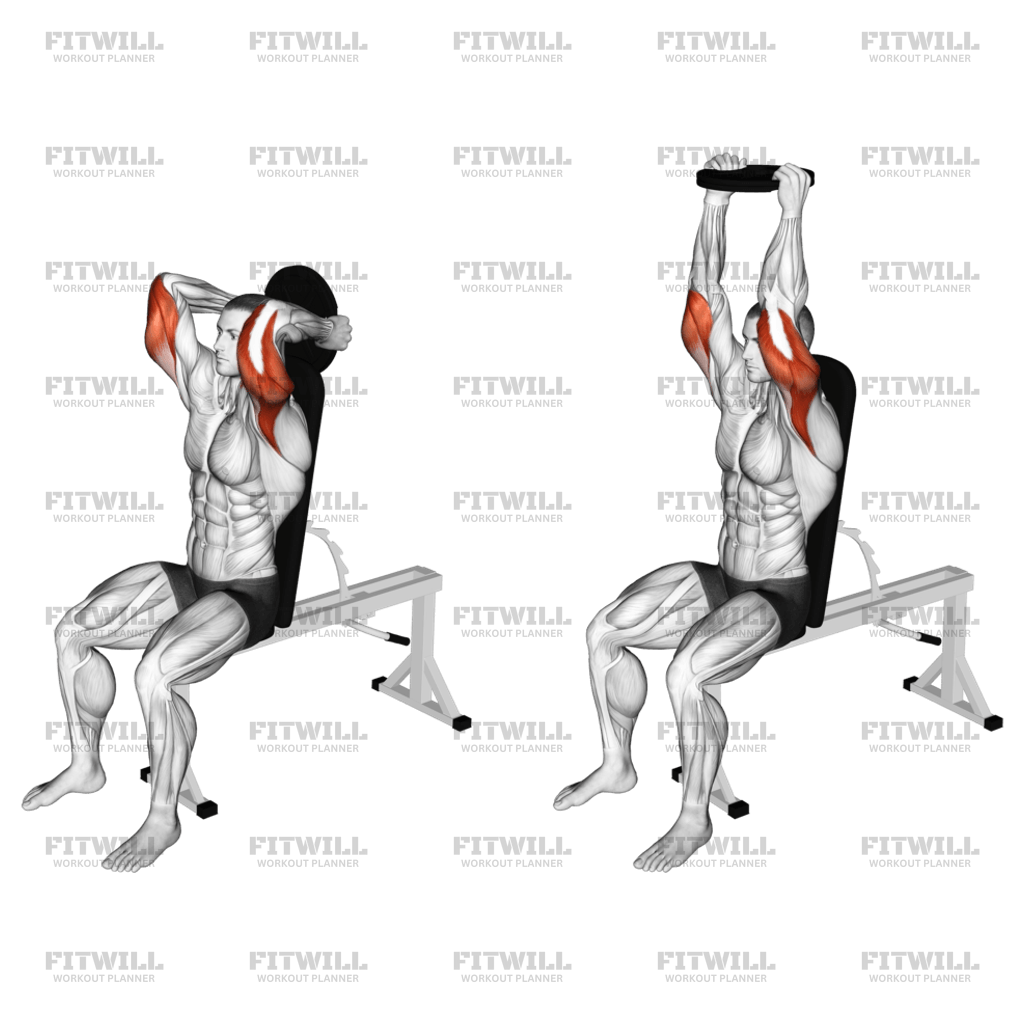 Weighted Seated Triceps Extension: Exercise Guide, Techniques, Benefits ...
