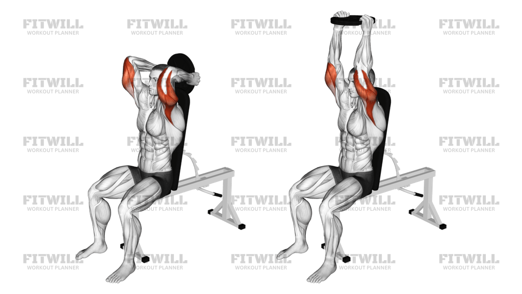 Weighted Seated Triceps Extension: Exercise Guide, Techniques, Benefits ...