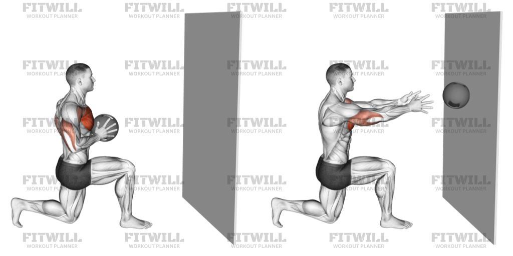 Medicine Ball Half Kneeling Chest Push: Exercise Guide, Techniques ...