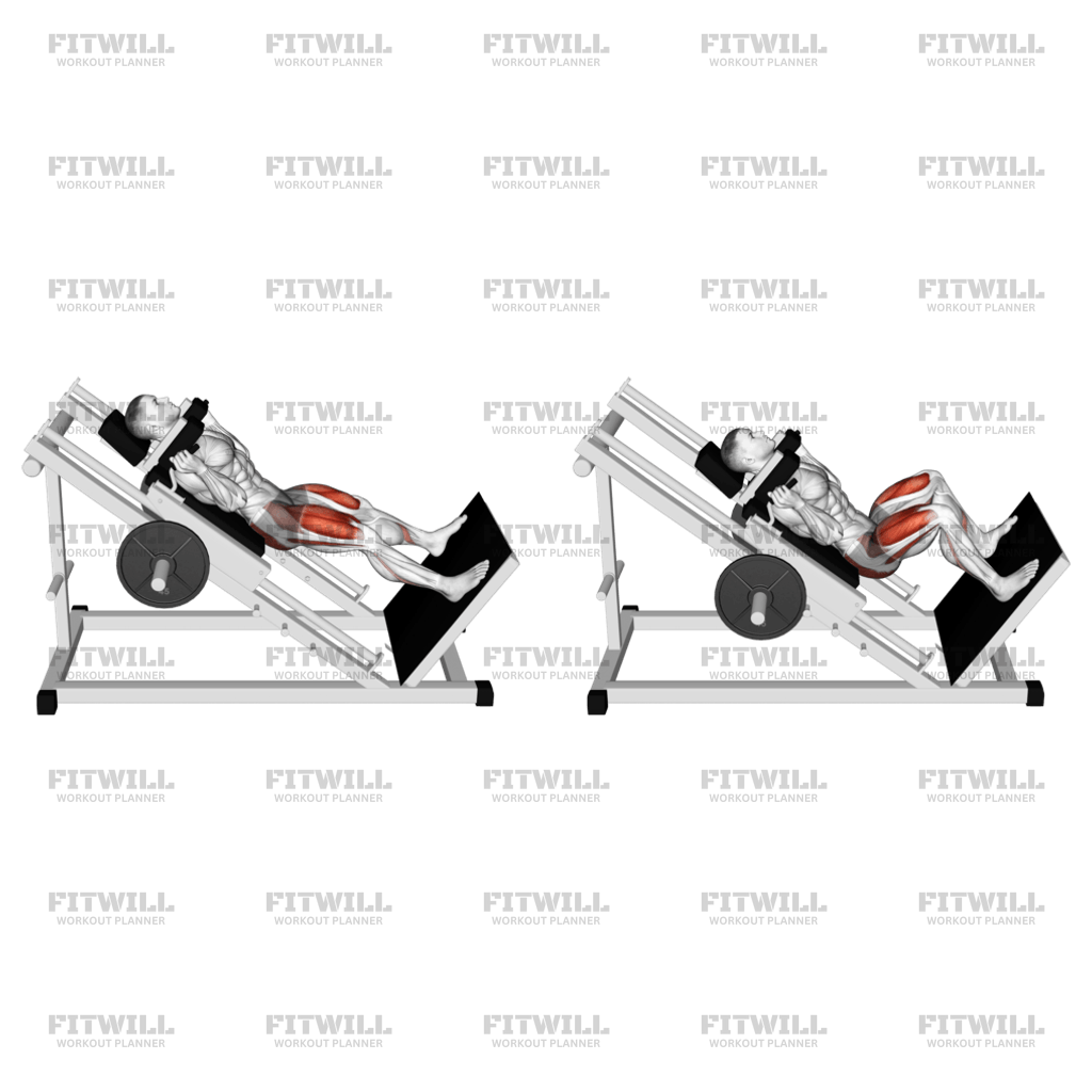 Sled Wide Hack Squat: Exercise Guide, Video, Techniques, Benefits, How to, Muscles Worked, Tips ...