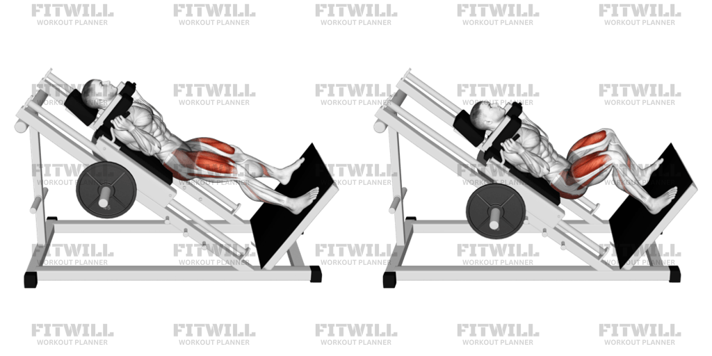Sled Wide Hack Squat: Exercise Guide, Video, Techniques, Benefits, How ...
