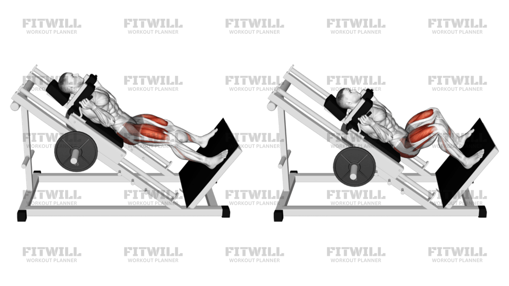 Sled Wide Hack Squat: Exercise Guide, Video, Techniques, Benefits, How ...